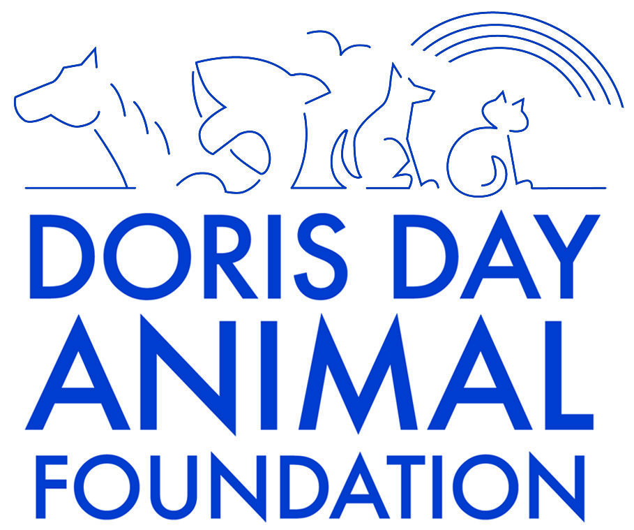 Miranda Lambert's MuttNation Foundation Announces 3-Year Partnership ...